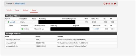 Force Vlan To Wiregard Tunnel Netgate Forum