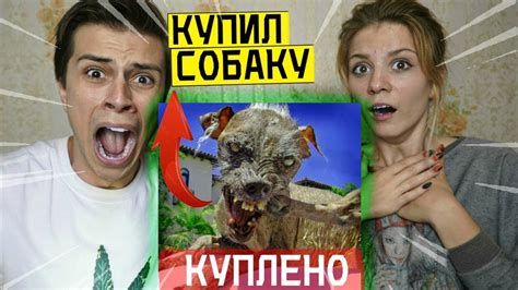 Я КУПИЛ ЖУТКУЮ ЖИВУЮ СОБАКУ С ДАРКНЕТ И ЭТО НОРМАЛЬНО СТРАШНО Youtube