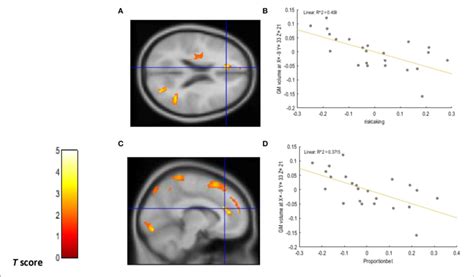 Voxel Wise Regression Results Depicting Negative Relationships