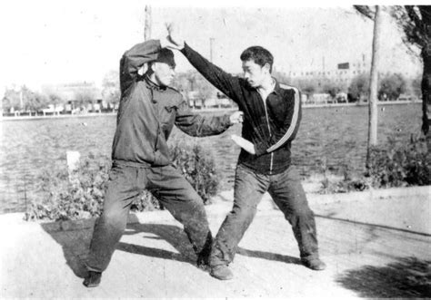 Wang Shi Tong Performs The 64 Hands Straight Line Method Line 7 Internal Arts International