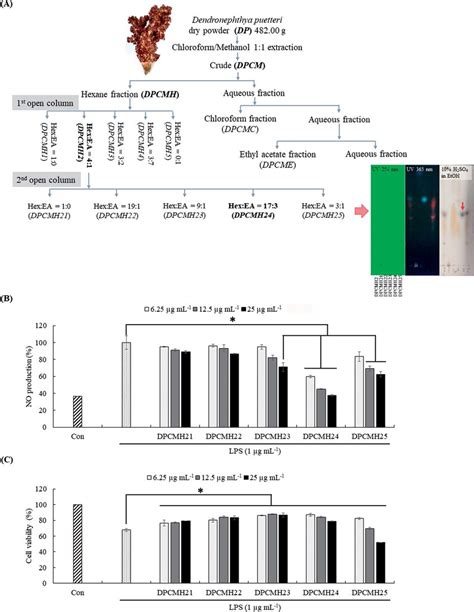 Schematic Outline Of Extraction Bioassay Guided Fractionation And Download Scientific Diagram