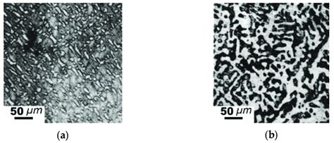 Microstructure Of The Hypoeutectic Alloy For Sample 1 According To Download Scientific