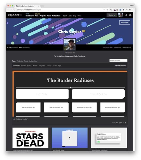 Improved Profile Organization Codepen