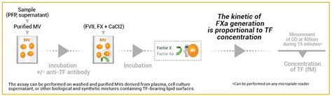 Microvesicles Tissue Factor Mv Tf Activity Measurement Stago