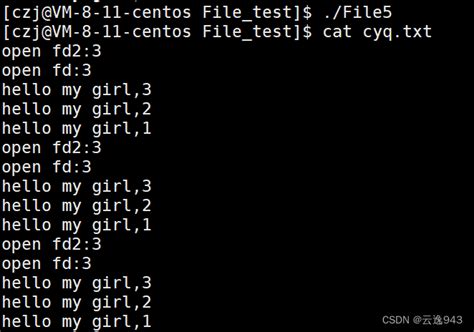 Linux——文件基础io的文件描述符和重定向实现理解linux Io输出重定向 Csdn博客