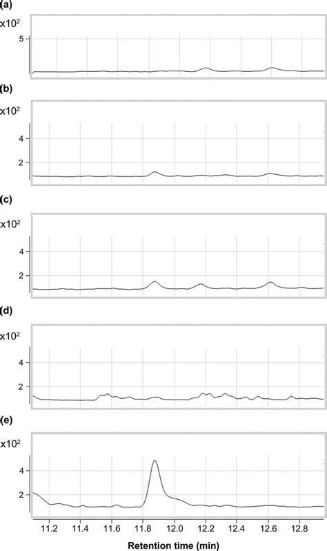 Selected Ion Monitoring Sim Chromatograms According To Allyl Download Scientific Diagram