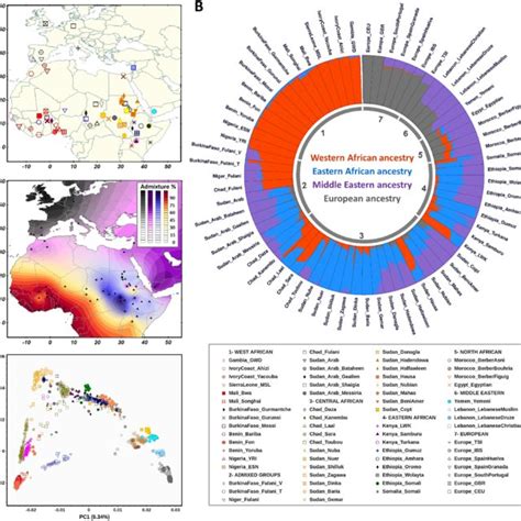Population Structure And Complex Admixture Patterns Across The Sahel