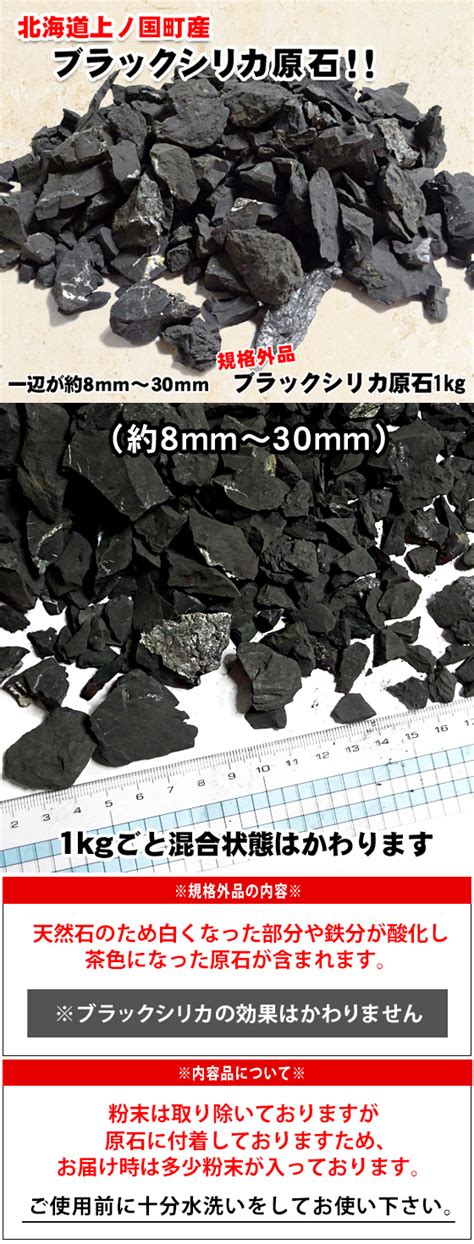ブラックシリカ株式会社ホロン