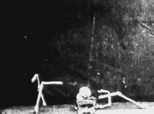 Skeleton Sex Gifs Tenor