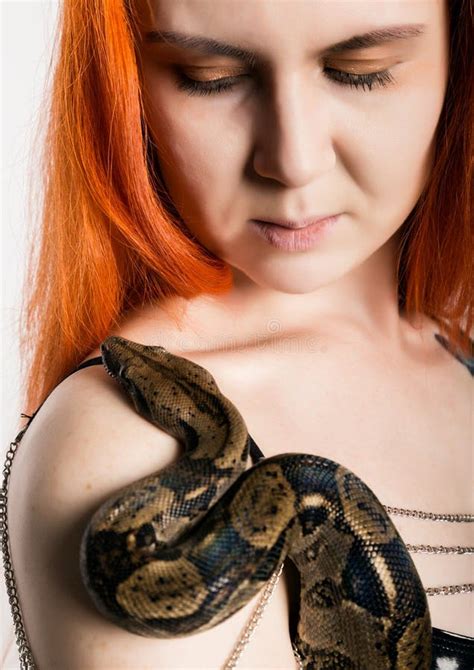 Redhead Woman Holding Snake Close Up Photo Girl With Pygmy Python On A White Background Stock
