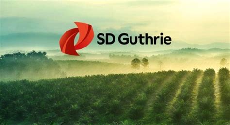 Sd Guthrie Fy25 Profit Rises To Rm25 Billion Declares 1035 Sen Fy