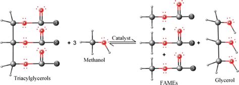 Generalized Schematic Representation Of Transesterification Reaction Download Scientific Diagram