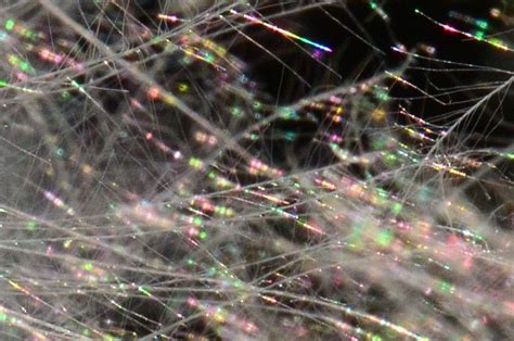 Diffraction Colours Atmospheric Phenomena