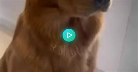 Eargasm Album On Imgur