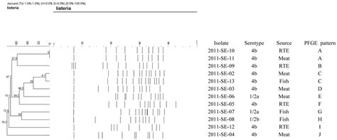 Apai Pfge Restriction Patterns For Selected L Monocytogenes Isolates Download Scientific