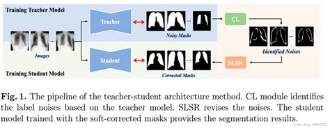 文献阅读：characterizing label errors confident learning for noisy labeled image segmentation csdn博客