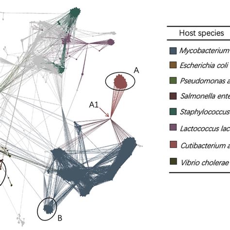 Visualization Of The Multimodal Graph The Colors Of The Nodes Are