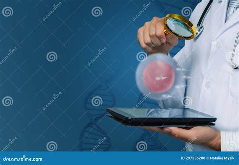 The Concept Of Artificial Insemination 库存照片 图片 包括有 鸡蛋 医生 297336280
