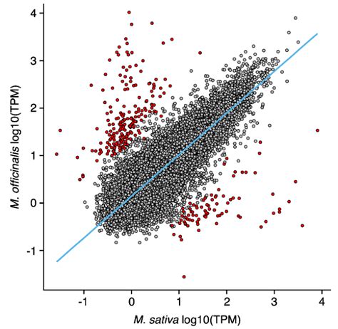 Correlation Between Transcript Abundances Of Orthologous Transcripts In