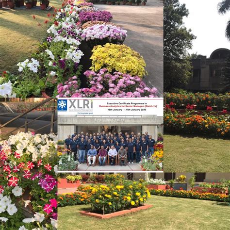 Avinash Chatla On Linkedin Businessanalytics Seniormanagers Xlri