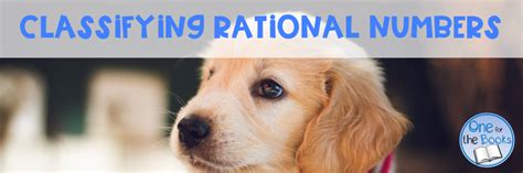 Classifying Rational Numbers One For The Books Rational Numbers