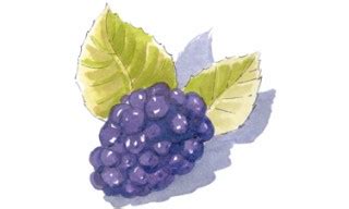 Tamazight NLP Tamawalt N ImZZyann Datasets At Hugging Face