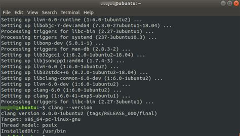 Ubuntu Desktop Clang