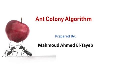 Ant Colony Optimization Pdf