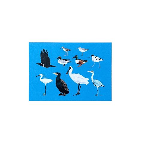 香港雀鳥 Ouiouibee｜其他人氣榜 Pinkoi