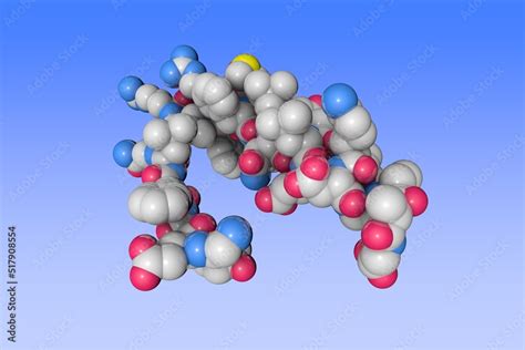 Structure Of P53 Tumor Suppressor Space Filling Molecular Model On