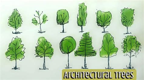 HOW TO DRAW TREES USING MARKERS Tips NEW Howtodrawtree Architecture YouTube