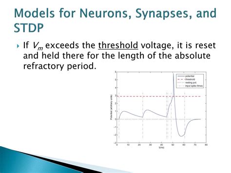Ppt Stdp Spike Timing Dependent Plasticity Powerpoint Presentation Id3659654