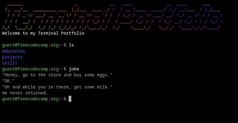 Showoff Saturday Written An Article How Create Terminal Porfolio R