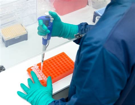 Company Molecular Testing Labs