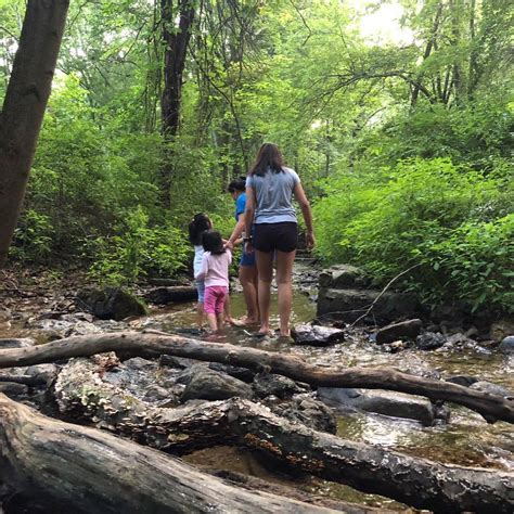 60 Yo Seniors Elderly Or Anyone With Balance Issues Improve And Maintain Your Balance With