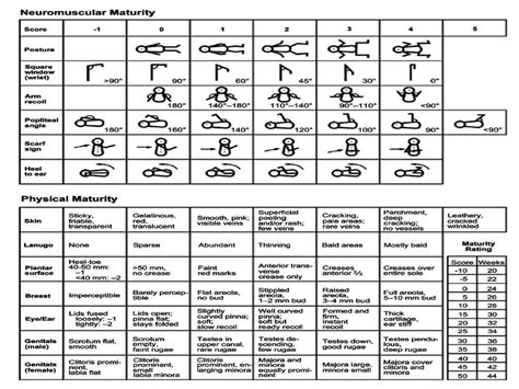 Assessment Of Gestational Age Pptx