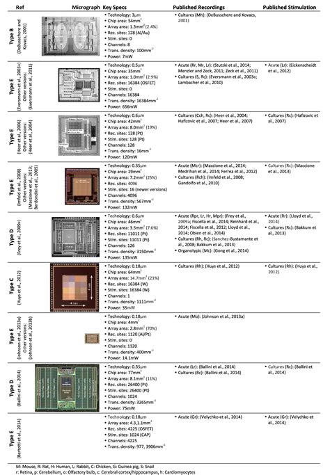 Figure 5 From Revealing Neuronal Function Through Microelectrode Array Recordings Semantic Scholar
