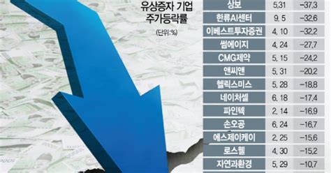 주가하락 공식된 주주배정·공모 유상증자