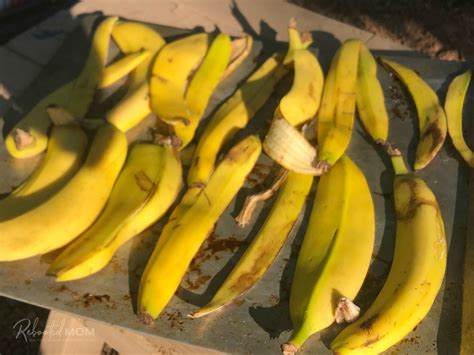 How To Make Banana Peel Fertilizer