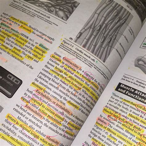 Body Structures And Functions 13th Edition Ann Senisi Scott Elisabeth Fong Hobbies And Toys
