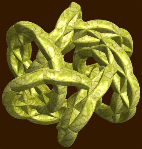 무료 이미지 추상 구조 조직 꽃 무늬 식품 생기게 하다 디자인 대칭 3d 그래픽 모양 매듭 큰 쇠시리 수학자 Cg