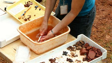 Lightning Ridge Fossil Digs Concrete Playground