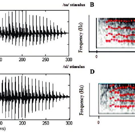 A And C Are The Waveforms Of Sa And Si Stimuli For Stimuli