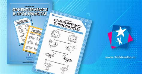 Ориентируемся в пространстве распечатать задание Общие компетенции скачать карточки в Pdf на