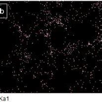 SEM Image Of Fe SiO 2 Powder Prepared From The Sol A A Download Scientific Diagram