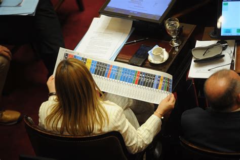 Boleta Única De Papel El Oficialismo Apunta A Un Dictamen Exprés Para