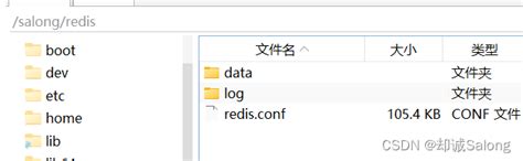 docker通过挂载conf文件启动redis