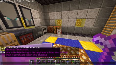 After Completing My Netherite Set I Decided I Needed To Do This I Would Reevaluate My Life