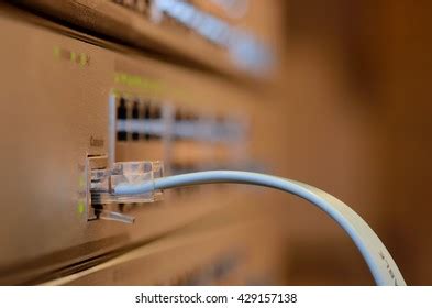 Network Switch Setup Stock Photo 429157141 Shutterstock