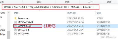 Vb6 Com Webservice发布，vbnet和delphi 7 对webservice访问，及ms Soap Toolkit 30在iis上的isapi配置 Csdn博客